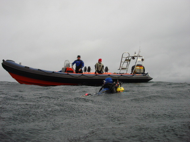 Buy New Dive Club Boat Package Rib Yamaha Mercury Suzuki Diving Price ...